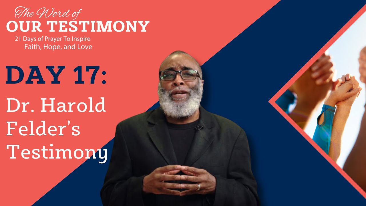 Day 17: The Testimony of Dr. Harold Felder - YouTube