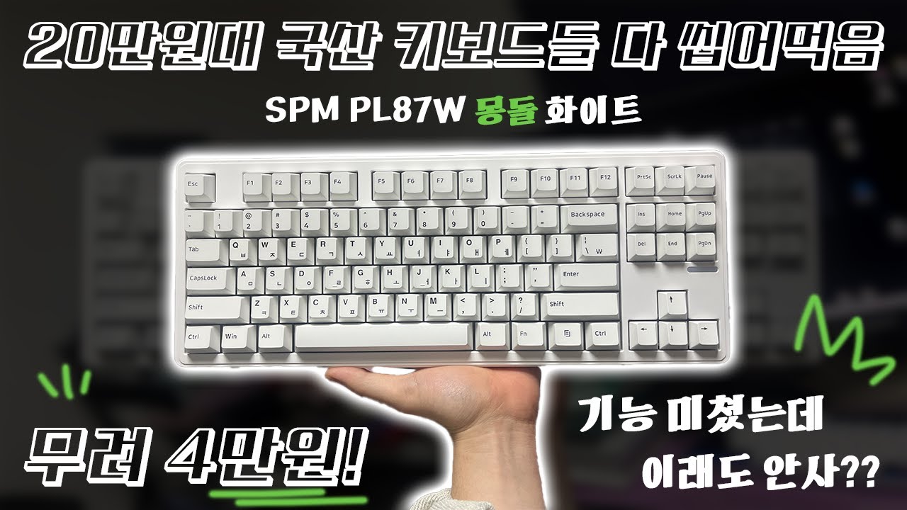 REVIEW | SPM PL87W 몽돌 화이트 | 독거미랑 비교 타건 | AULA F87PRO #asmr #keyboard # ...