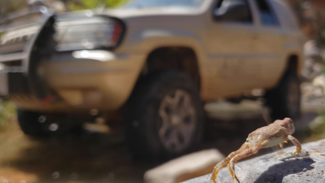 Jeep Grand Cherokee WJ on Rattlesnake Trail - YouTube