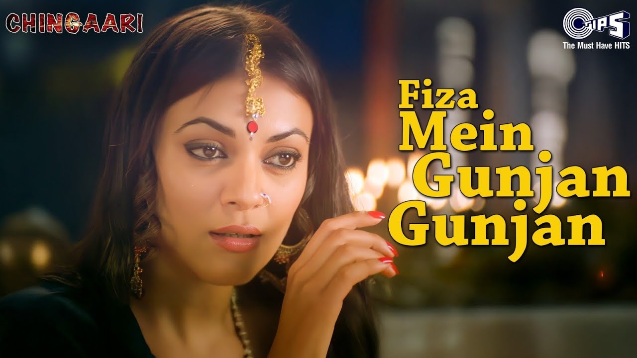Fiza Mein Gunjan Gunjan | Chingaari | Sushmita Sen | Vijayta Pandit ...