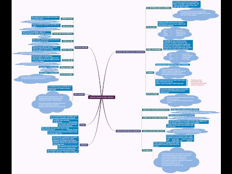 Türkçe-Tekrar-1-Sözcük Anlamı ve Söz Yorumu-YGS, LYS, KPSS, DGS, ALES