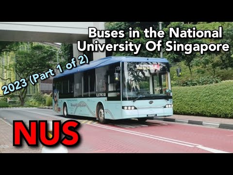 Buses in the National University Of Singapore (NUS), 2023 (Part 1 of 2 ...