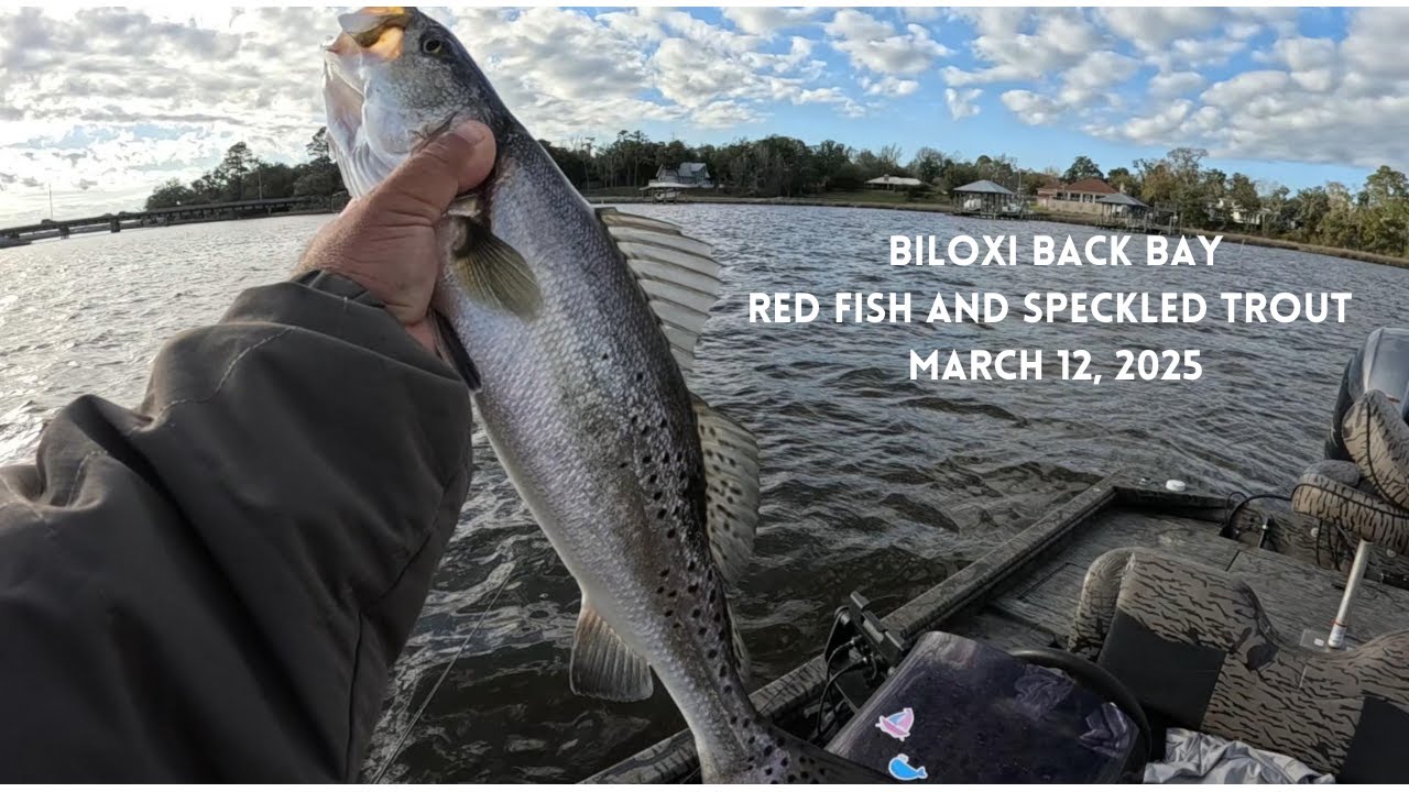 Biloxi Back Bay Fishing (+13 Fishing Defy Fishing Rod Review) - YouTube