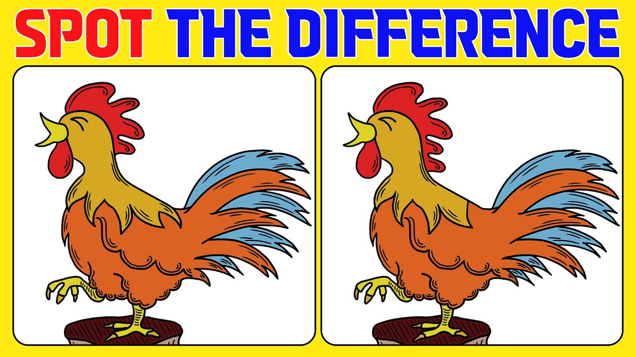 【Find & Spot the Difference】Can You Find the Differences Between These ...