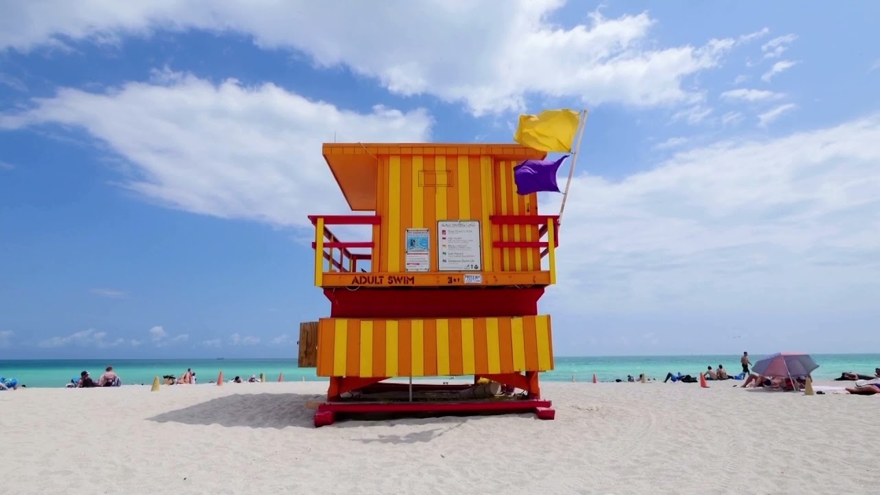 [adult swim] - Summer 2021 Bumps - YouTube