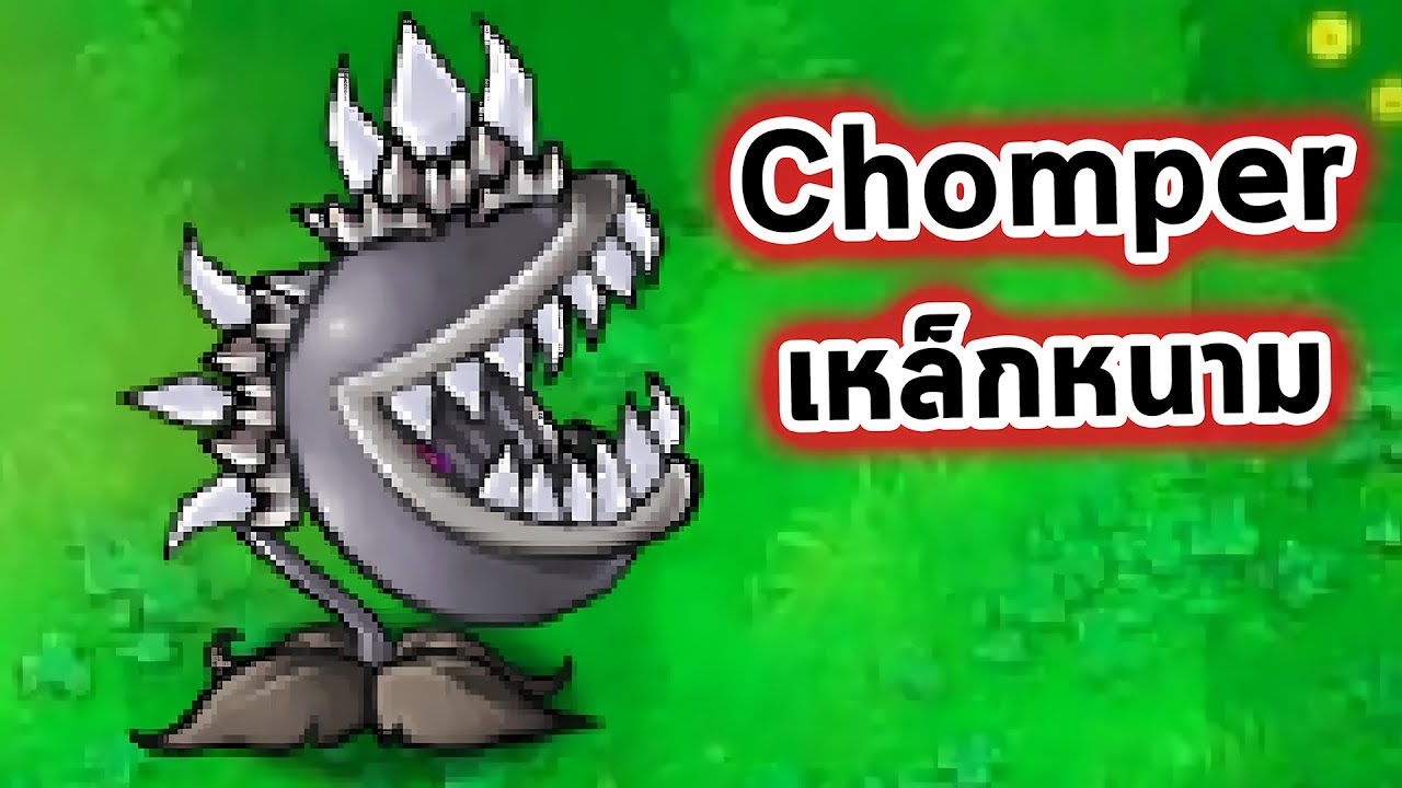 Chomper หนามเหล็กยิ่งวางยิ่งแพง แต่เก่งมาก Plants Vs Zombies Hybrid Mod ...