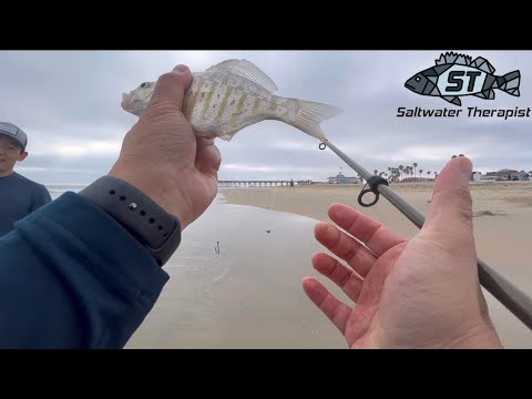 Perch Fishing in Southern California - YouTube
