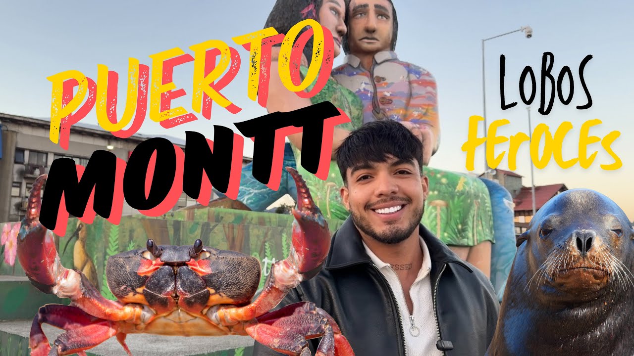 INCREÍBLE! Puerto Montt y sus lo lobos feroces 🦭🇨🇱 | Recorrido ...