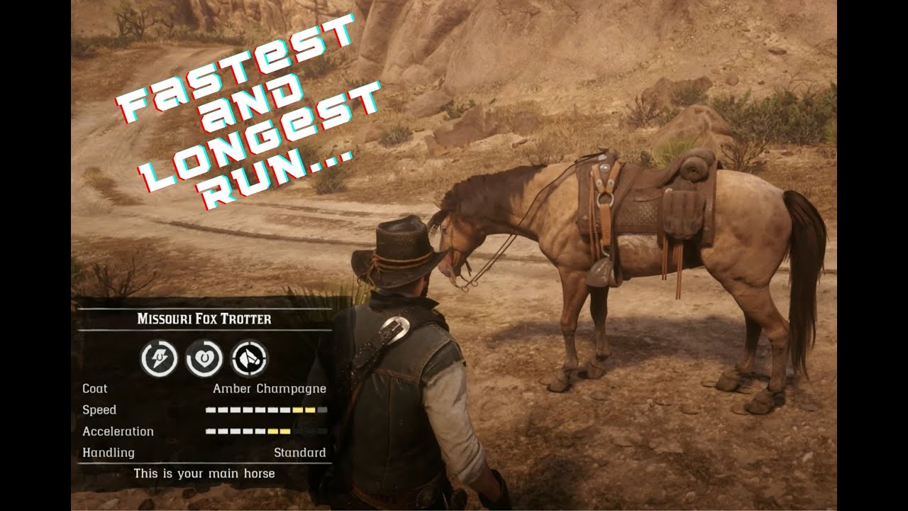 Missouri Fox Trotter - Fastest Horse in Red Dead Redemption 2 - Longest ...