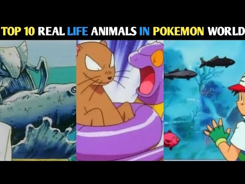 Top 10 Real Life Animals In Pokemon World | Real Life Animals In ...