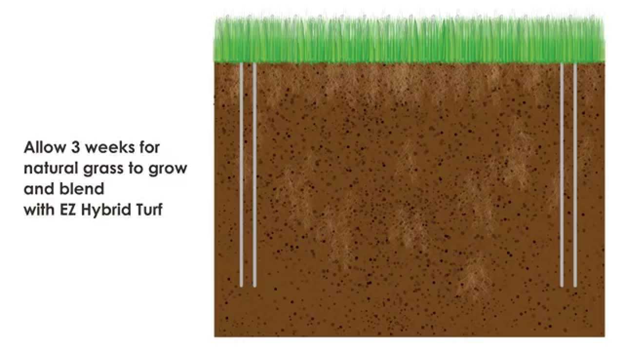 Sports Turf - Existing Field - YouTube