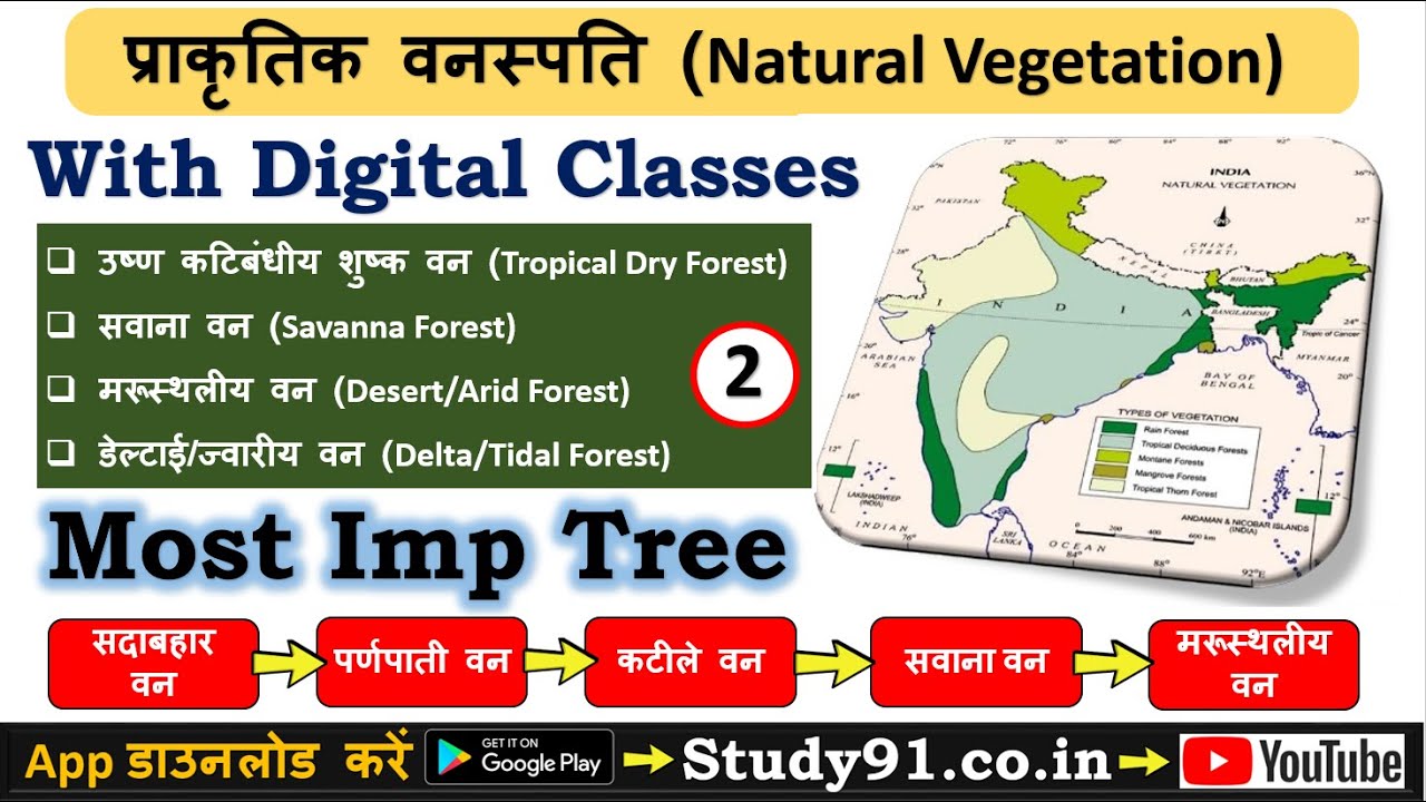 33.Tropical Dry Forest,Savanna,Desert,Delta Forest,Natural Vegetation ...