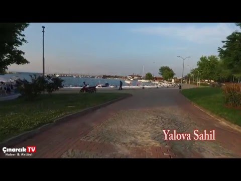 yalova kısa film