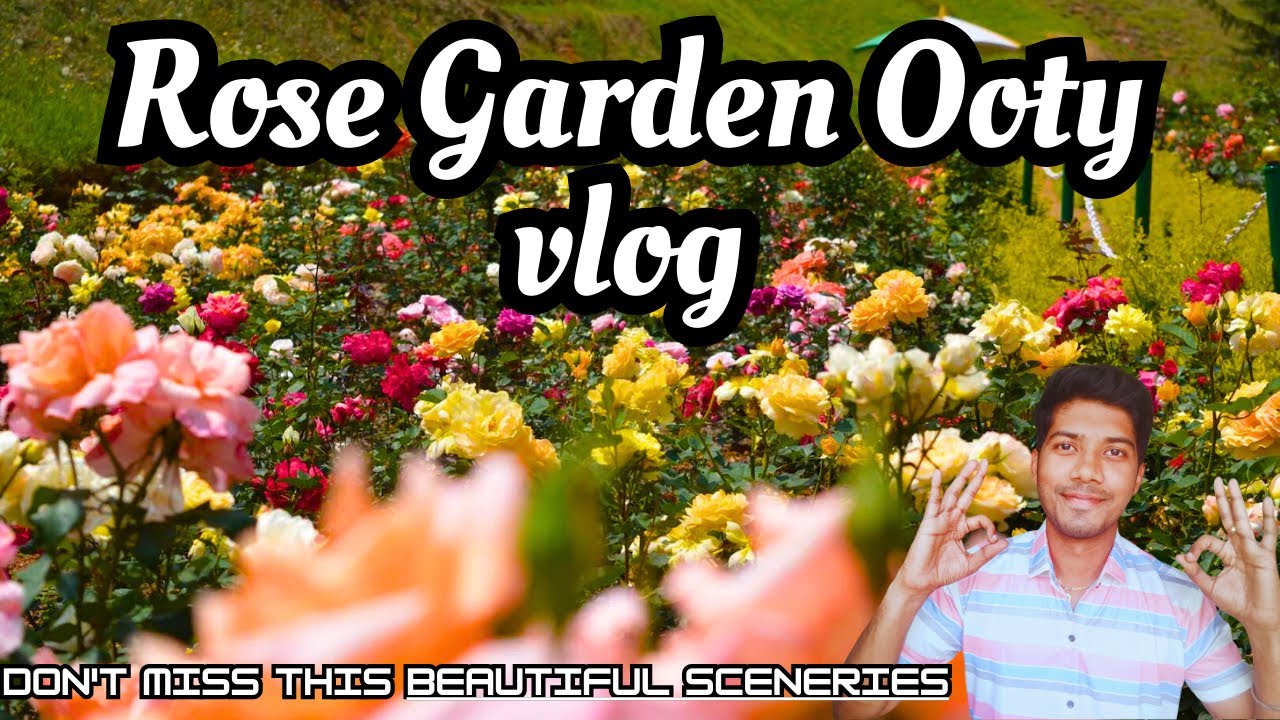 ooty-rose-garden-vlog-tamil-rose-garden-video-mathan-s-journey