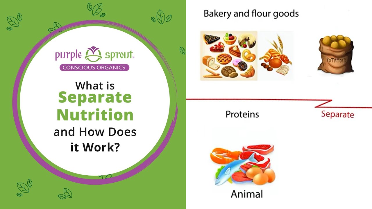 What is Separate Nutrition and How Does it Work? - YouTube