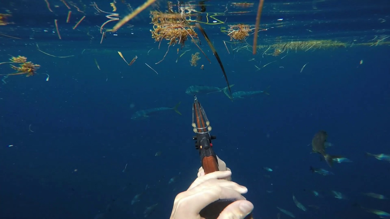 sebastian florida diving summer 2016 - YouTube