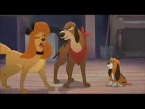 Dixie, Lady, Angel, Georgette, Peg, Rita and Cash- Romeo! - YouTube