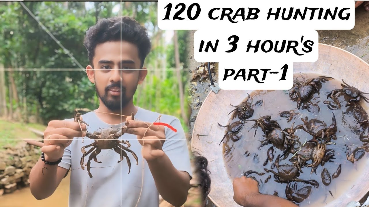 We caught 120 crab's in three hours😎//..part-1 - YouTube
