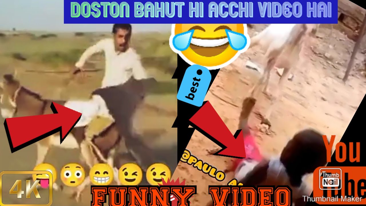 Friends, watch this funny video, it's awesomeAll you have to do is ...