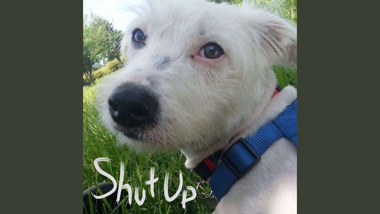 Shatter House - YouTube