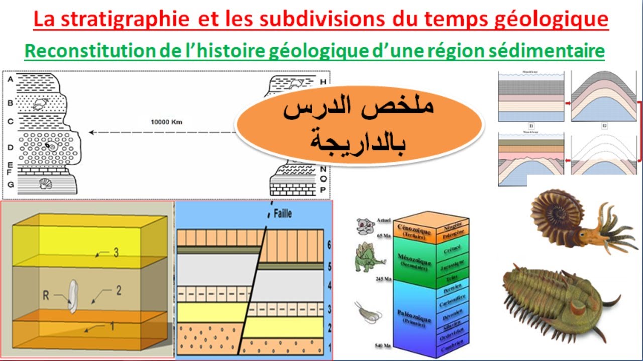 résumé du chapitre 2 : la stratigraphie et les subdivisions du temps ...