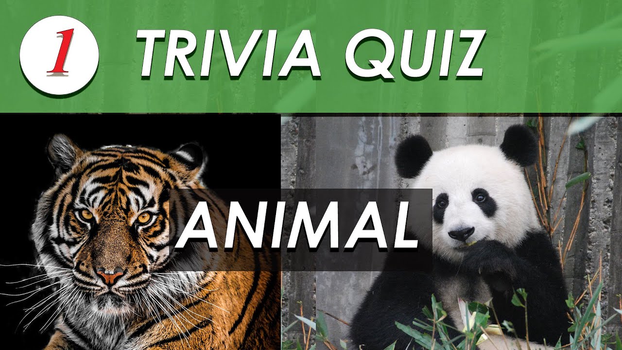 ANIMAL TRIVIA QUIZ 30 Animals Knowledge Trivia Questions and Answers #1 ...