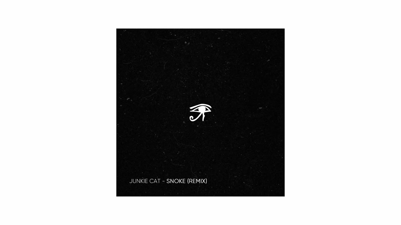 JUNKIE CAT — SNOKE (REMIX) ORIGINALLY BY BOLUS - YouTube