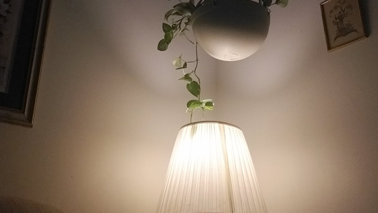 Hello Everyone/ Mag Marites Tayo! Hehehe - YouTube