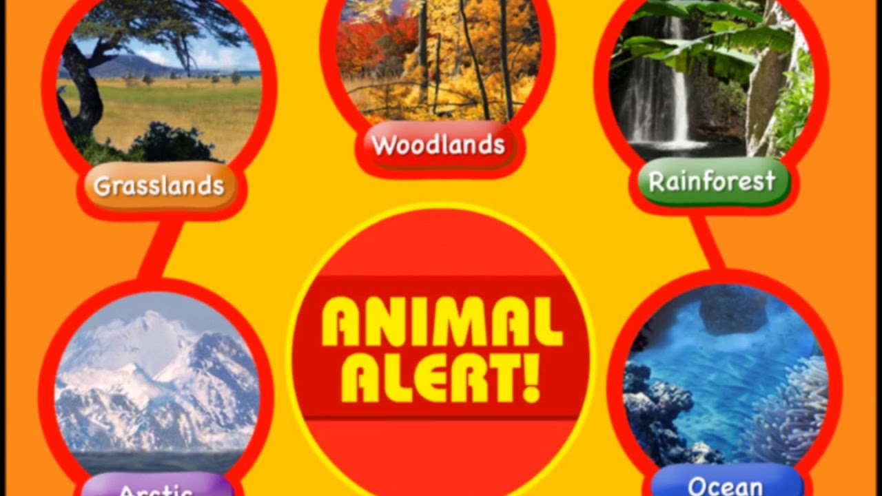 Animal Genius: Animal Alert Theme Music - YouTube