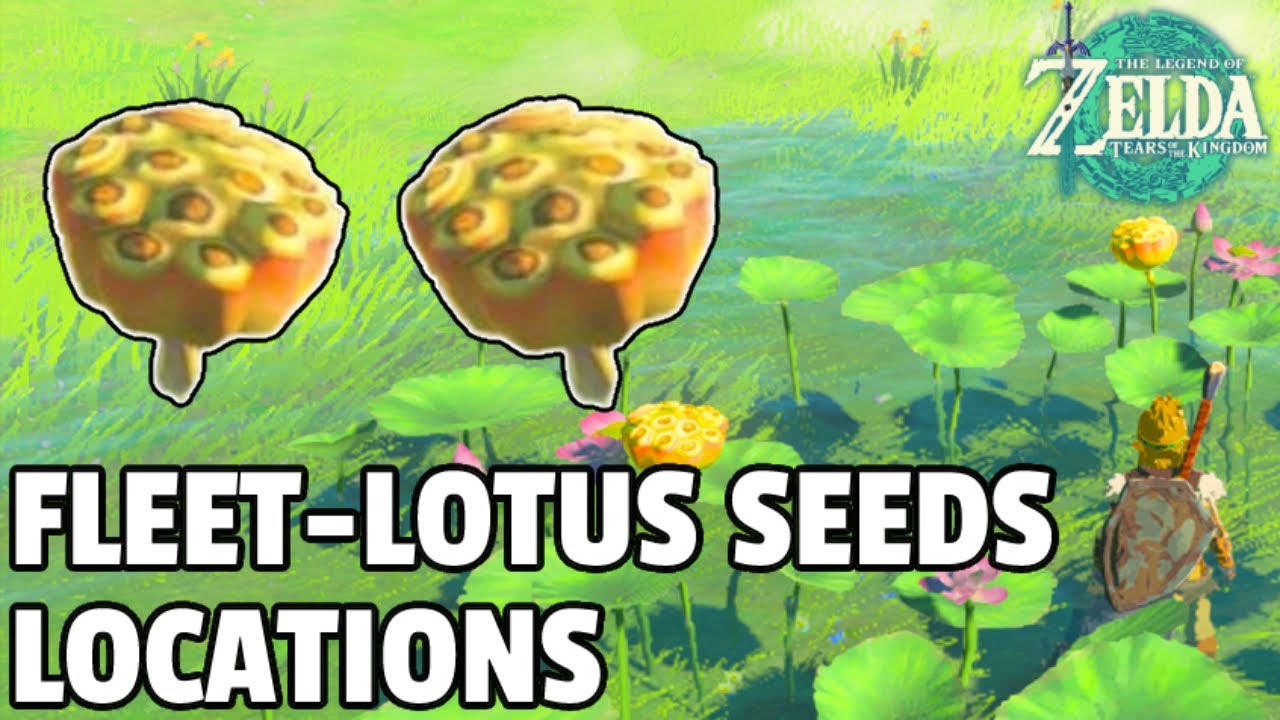 Fleet Lotus Seeds Locations | The Legend of Zelda Tears of the Kingdom - YouTube