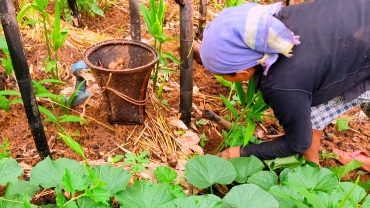 E.ching Biki otenga. - YouTube