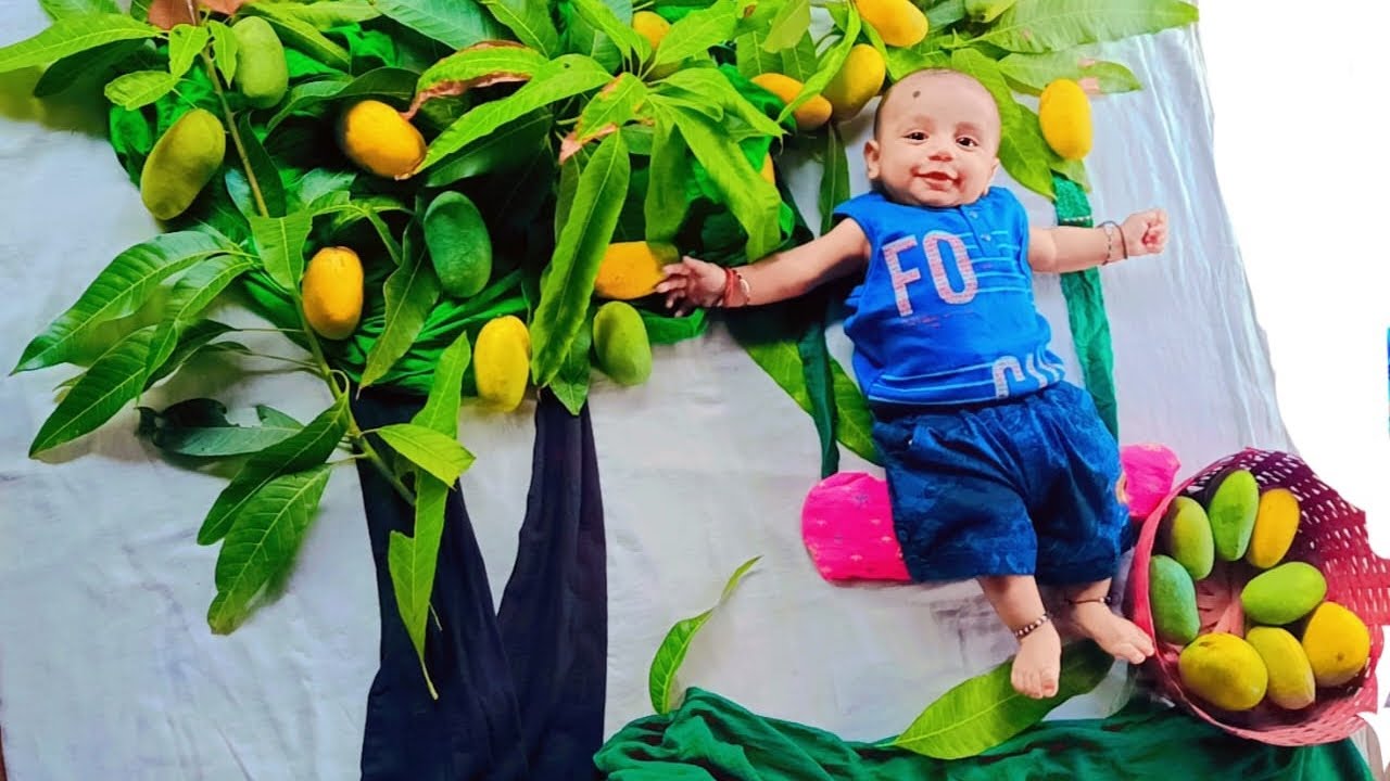 #Baby mango photoshoot #baby photoshoot #viral videos #cute baby#Mango ...
