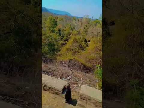 https://www.fb.com/l/6lp1kJRRR - YouTube