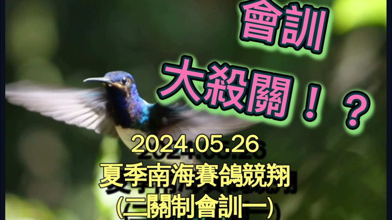夏季南海競翔：高雄港出海120公里-20240526 Taiwan racing pigeons return home#鴿神使者#賽鴿#南海 ...
