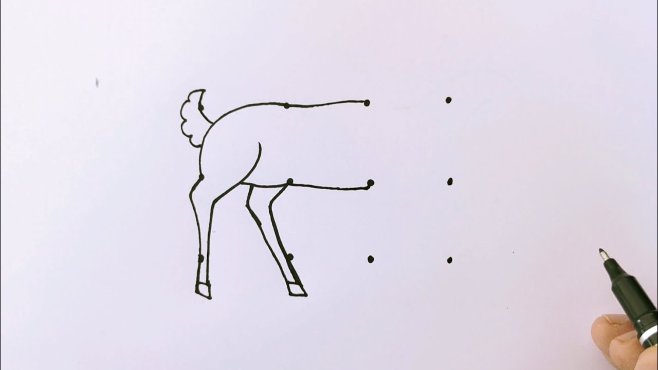 Deer Drawing with dot by dot | Deer Drawing Art - YouTube