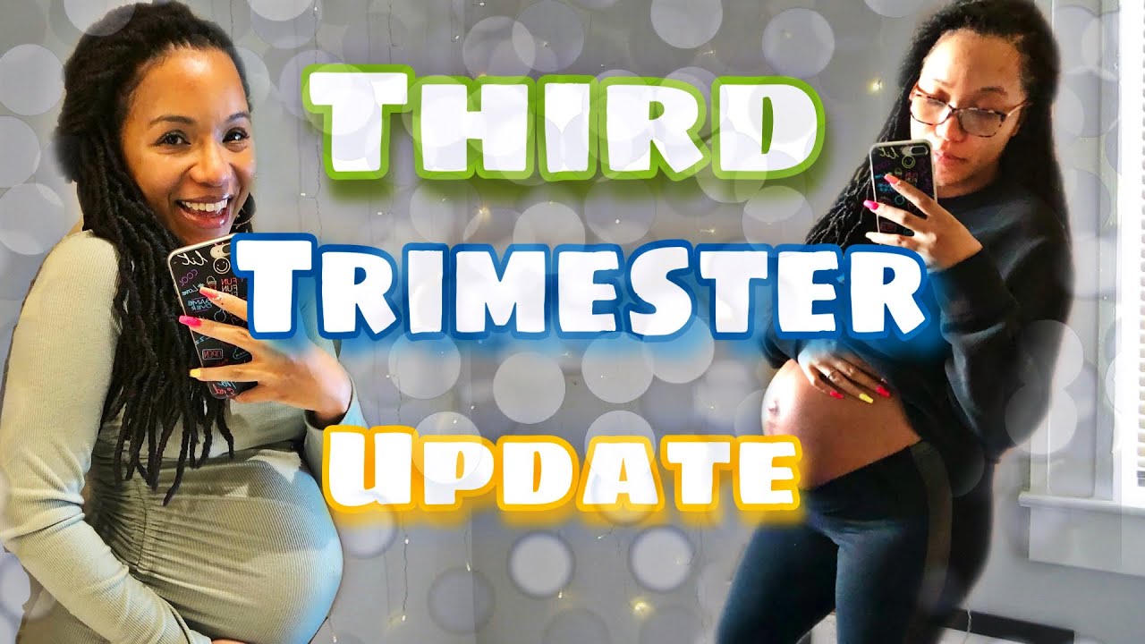THIRD TRIMESTER BUMPDATE | PREGNANCY UPDATE - YouTube