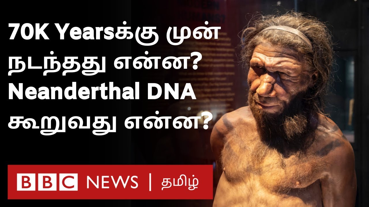 Nobel Prize 2022: Svante Paaboவுக்கு நோபல் பரிசு அறிவிக்கப்பட்டது ஏன்? | Neanderthal Genome ...