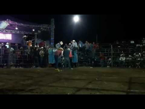 "Máximo" Rancho El Caudillo - YouTube