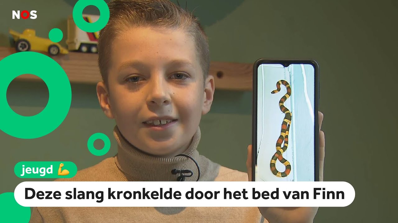 Giftige slang is nog steeds kwijt en dat is niet de enige - YouTube