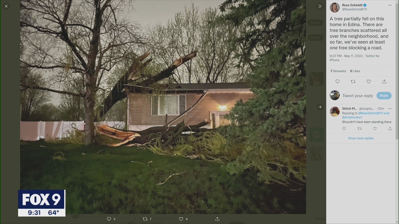 Neighborhoods dealing with damage after storms I KMSP FOX 9 - YouTube