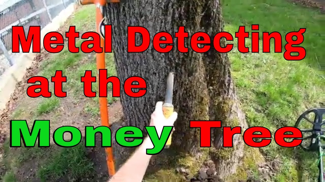 We found a Money tree metal detecting at this School! #metaldetecting ...