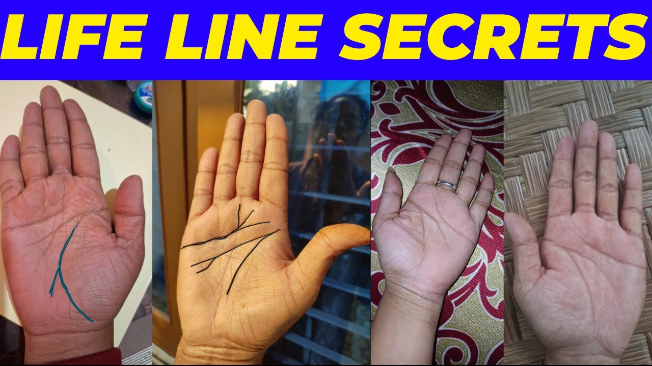 Life Line Secrets : What Your Palm Tells About Your Life ...