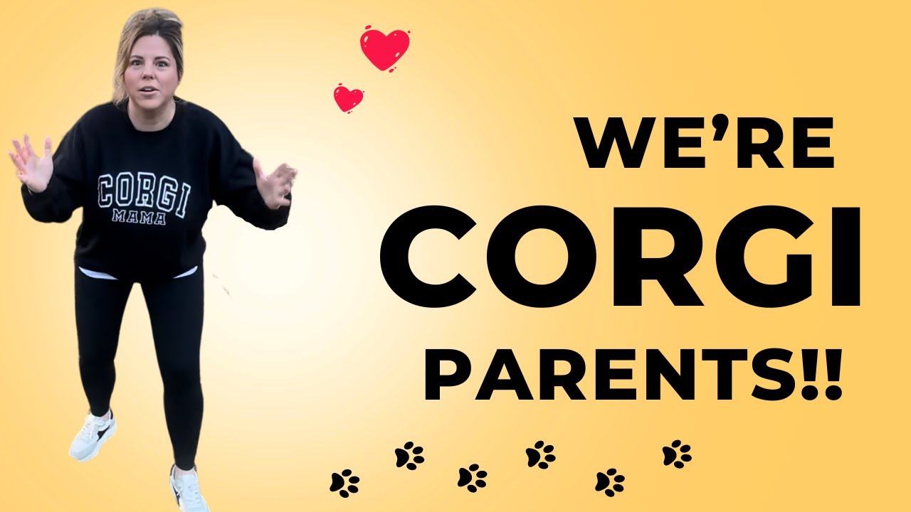 Corgi Chronicles: Our Journey As Proud Corgi Parents - Episode 1 - YouTube