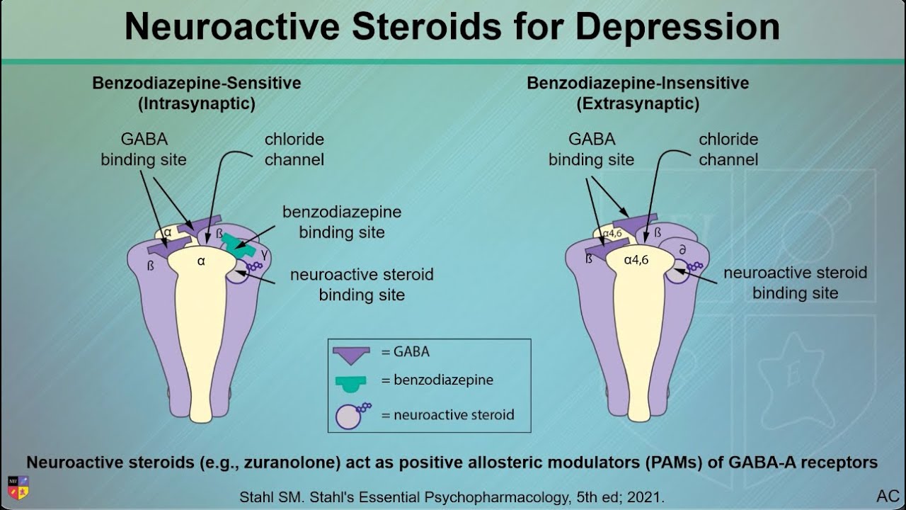 Oral Neuroactive Steroids - YouTube