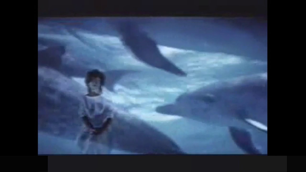 The Scream of the Dolphins - YouTube