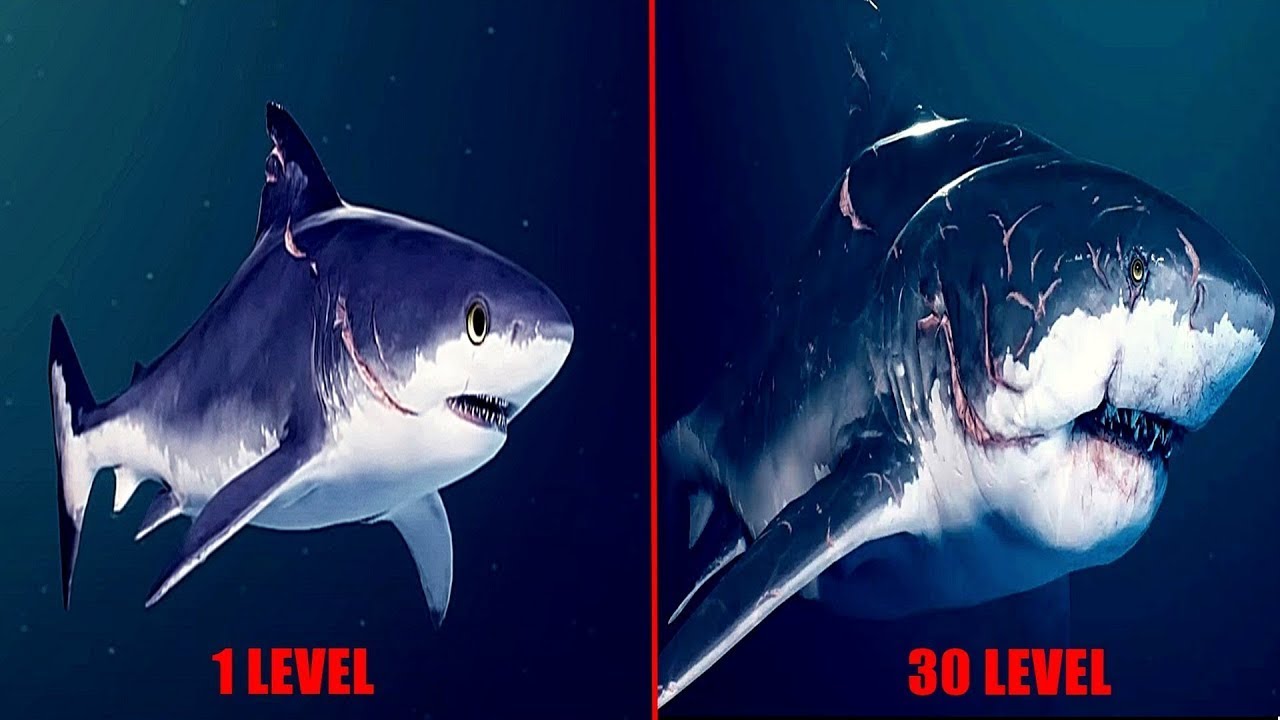 Maneater - Level 30 ELDER - YouTube