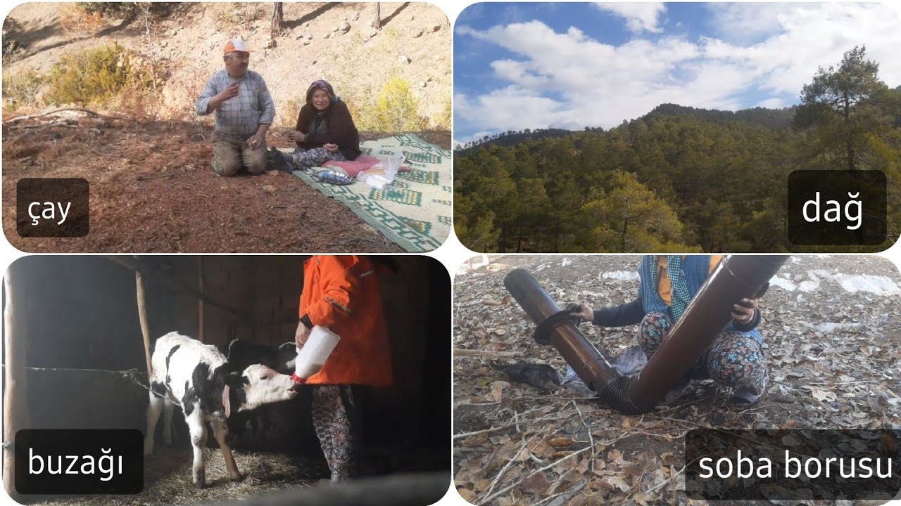 köyde sonbahar nasıl geçiyor. soba isi silktim, dağa gittik, doğal ...