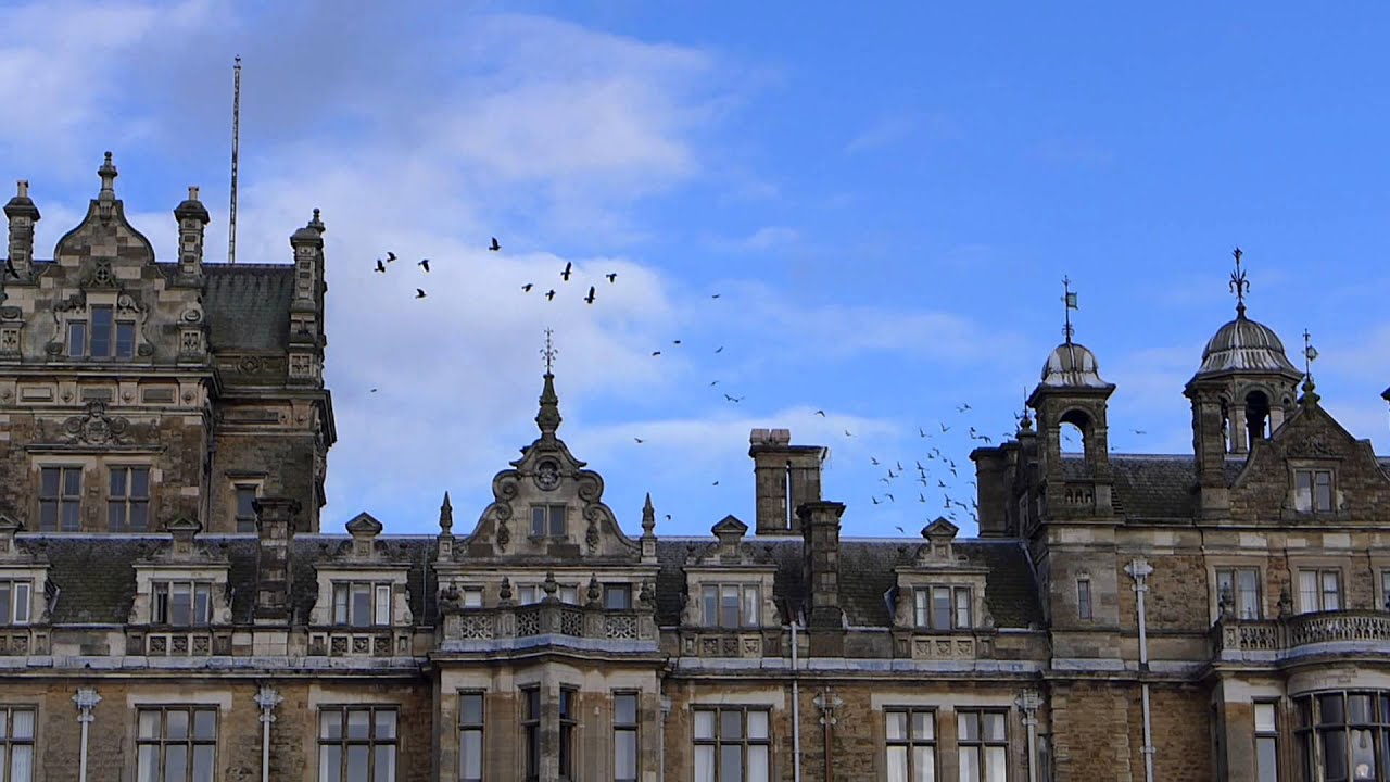 Leica D-Lux 6 Sample Video MP4 Flying Birds