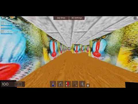 monkey rooms - YouTube