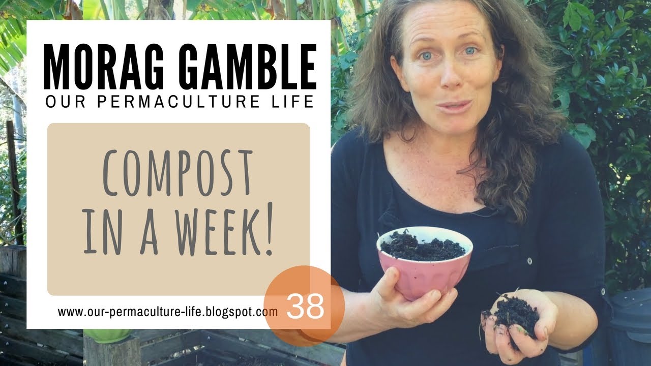 Make Compost in a week - with Azolla! - YouTube